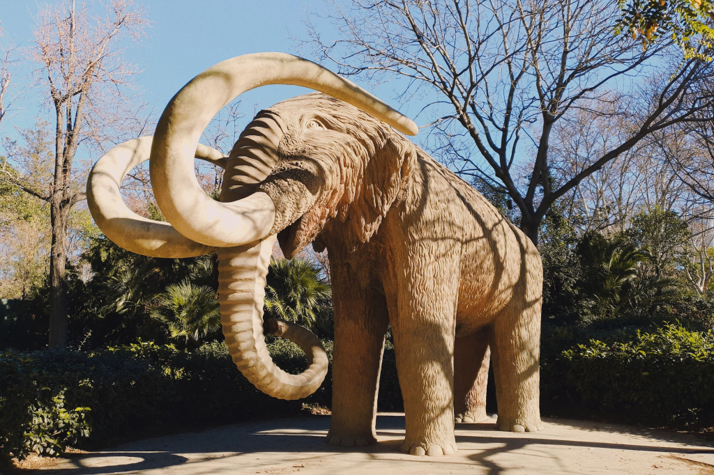 Les Allemands chassaient les éléphants il y a 125 000 ans - Click Finanças